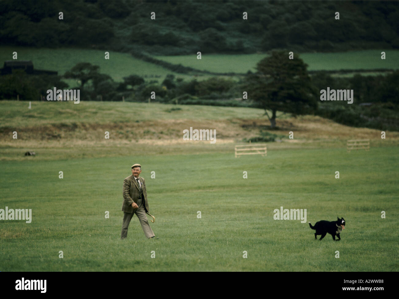 Welsh shepherd hi-res stock photography and images - Alamy