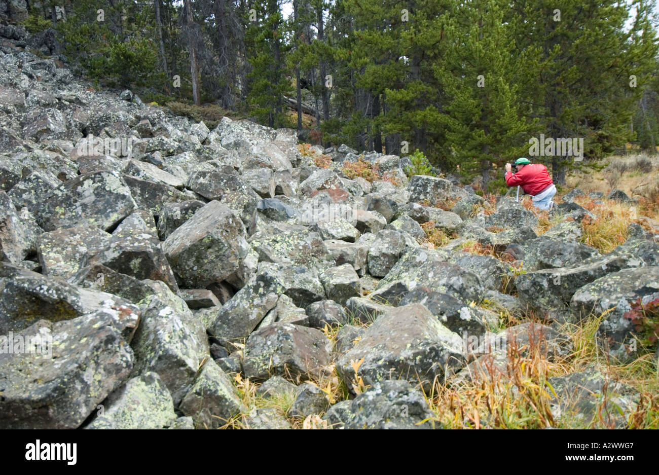 Stan Osolinski photographing columnar cooling joints, Sheepeater Cliff ...