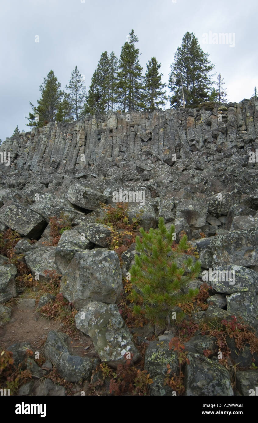 Columnar cooling joints, Sheepeater Cliff, Yellowstone National Park ...