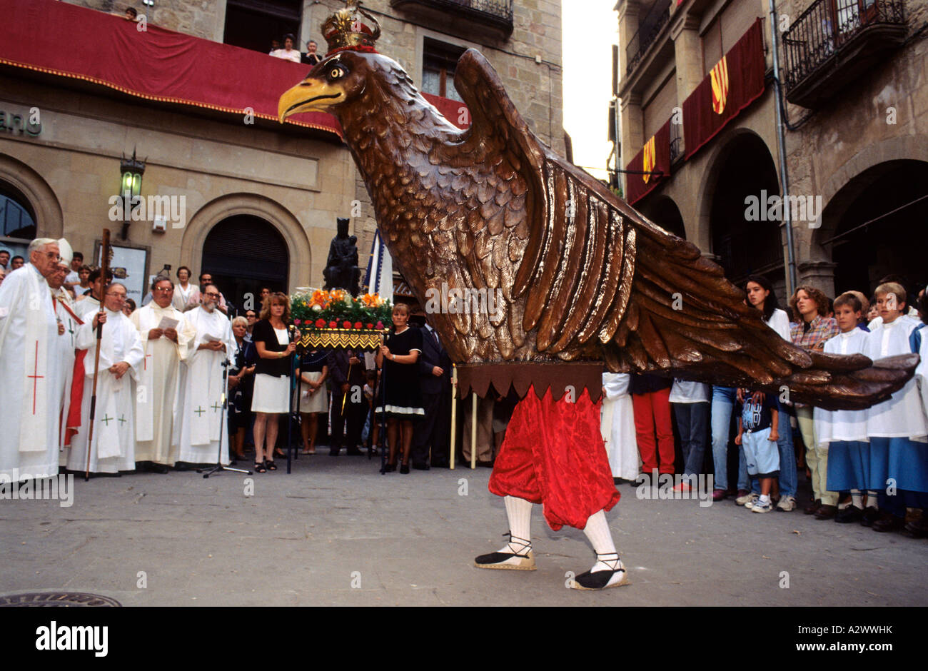 Major eagle hi-res stock photography and images - Alamy