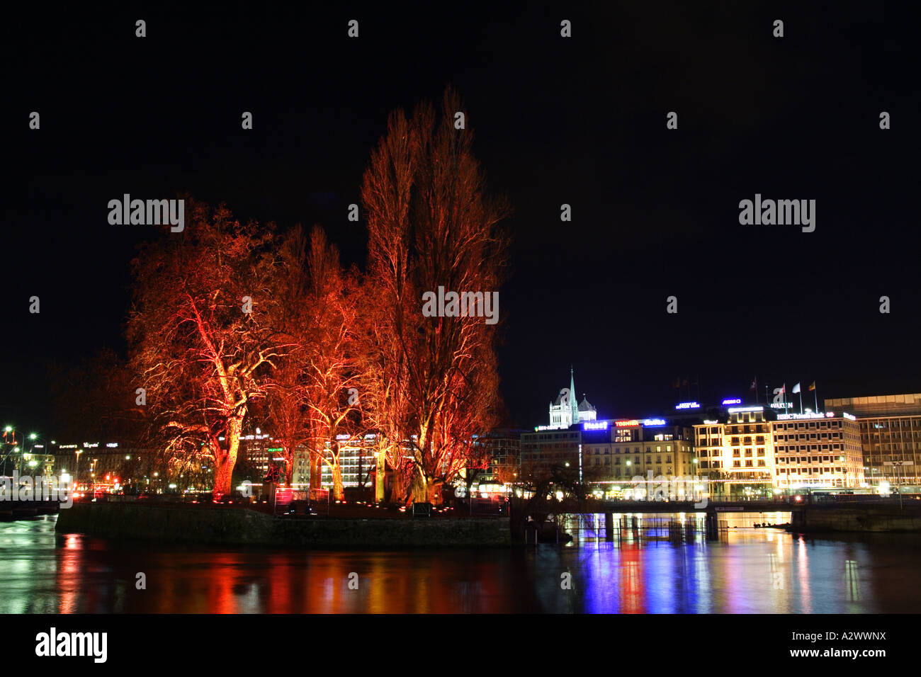 Illuminated trees during Christmas Festival, Geneva, Switzerland Stock ...