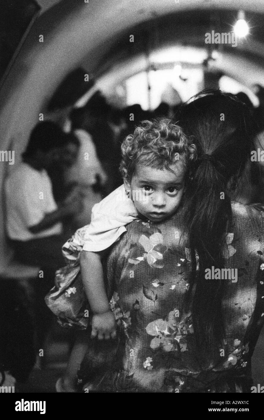 8 bit rgb flat jpeg file 3444x5111 pixels 6 89x10 22 inches 500 00 ...