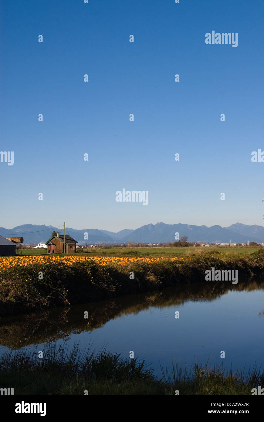 Near Ladner, BC Stock Photo - Alamy