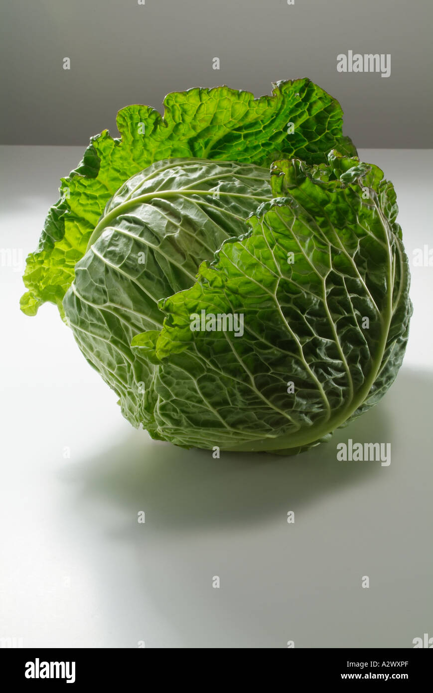 Cabbage layers hi-res stock photography and images - Alamy