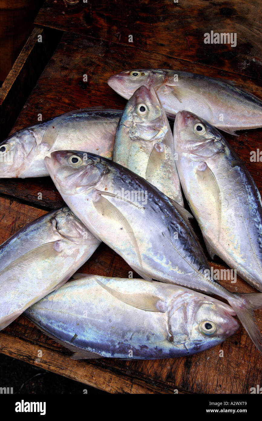 Africa Tanzania Zanzibar Island Stone town a stall selling fresh fish ...
