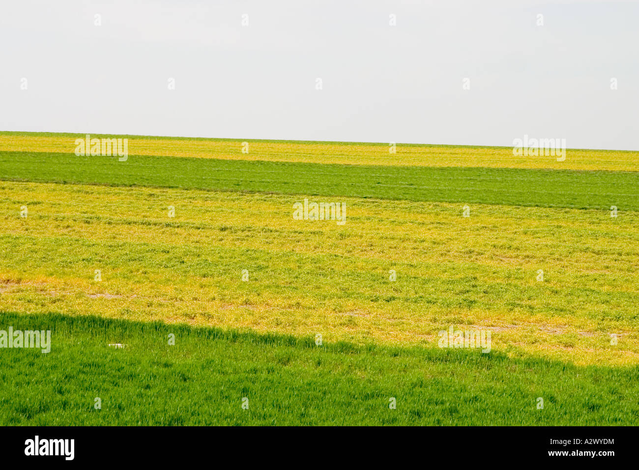 Spring in philadelphia hi-res stock photography and images - Alamy