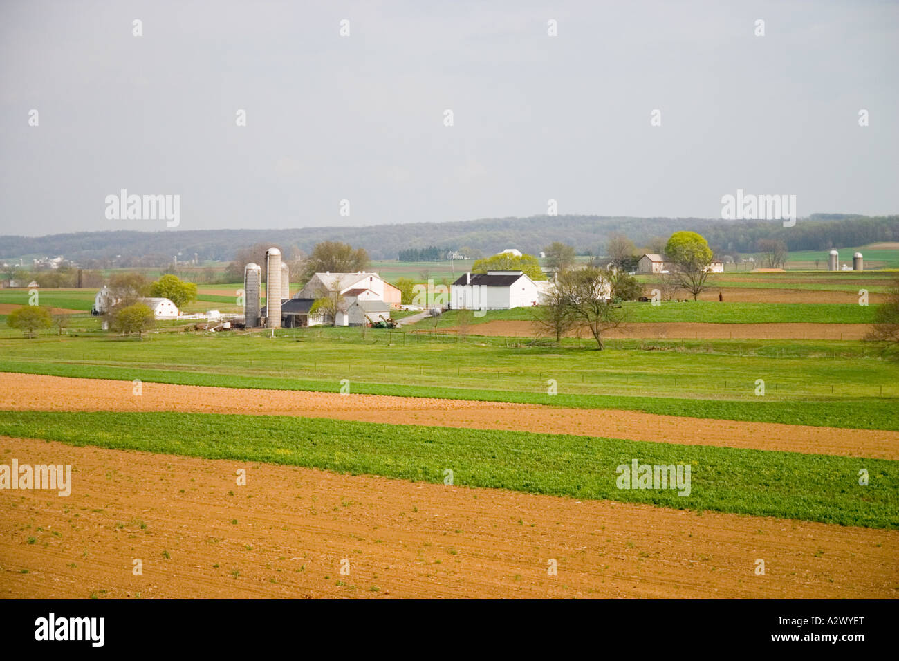 Farm Field in Spring Stock Photo - Alamy