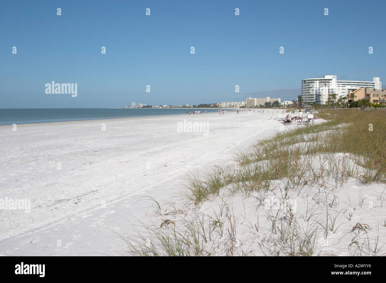 CRESCENT BEACH ON SIESTA KEY ON THE GULF OF MEXICO IN SOUTH WEST ...