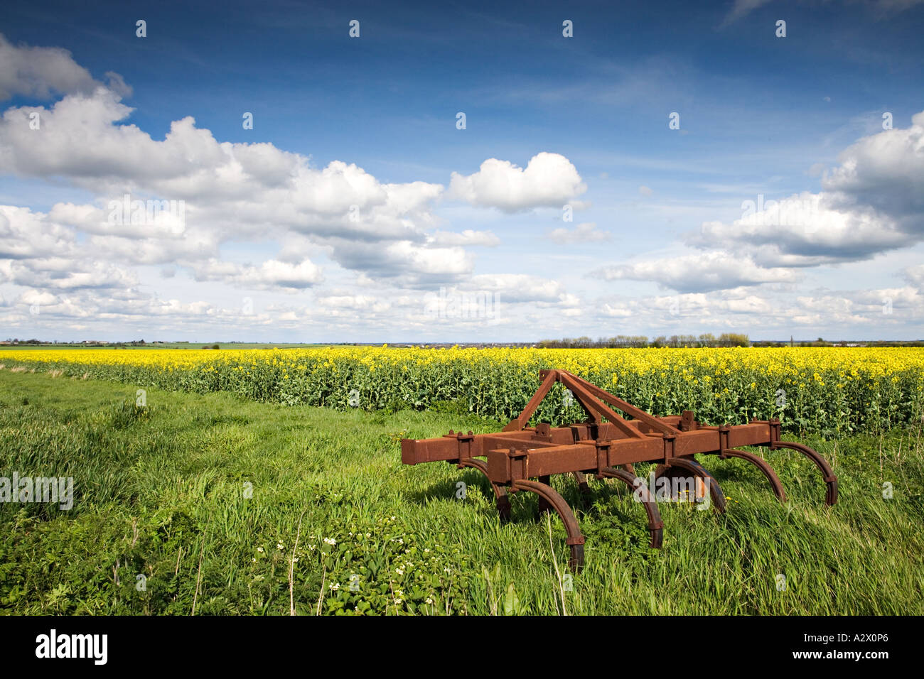 Iron plough hi-res stock photography and images - Alamy