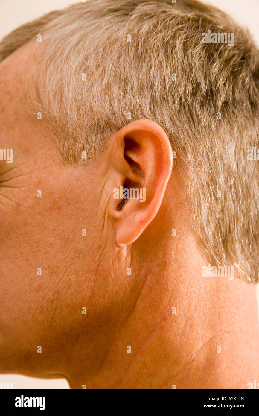Neck face anatomy hi-res stock photography and images - Alamy