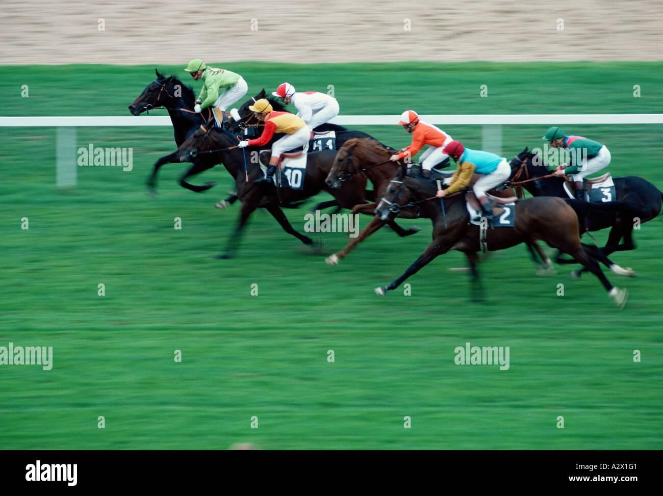 Horse race on turf Stock Photo - Alamy