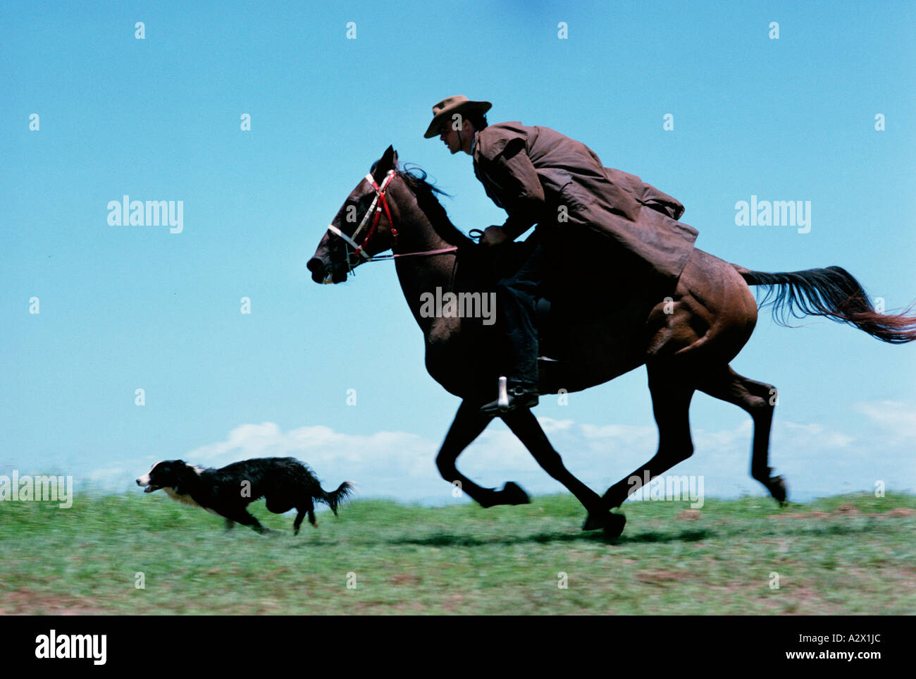 Australian farmer horse hi-res stock photography and images - Alamy