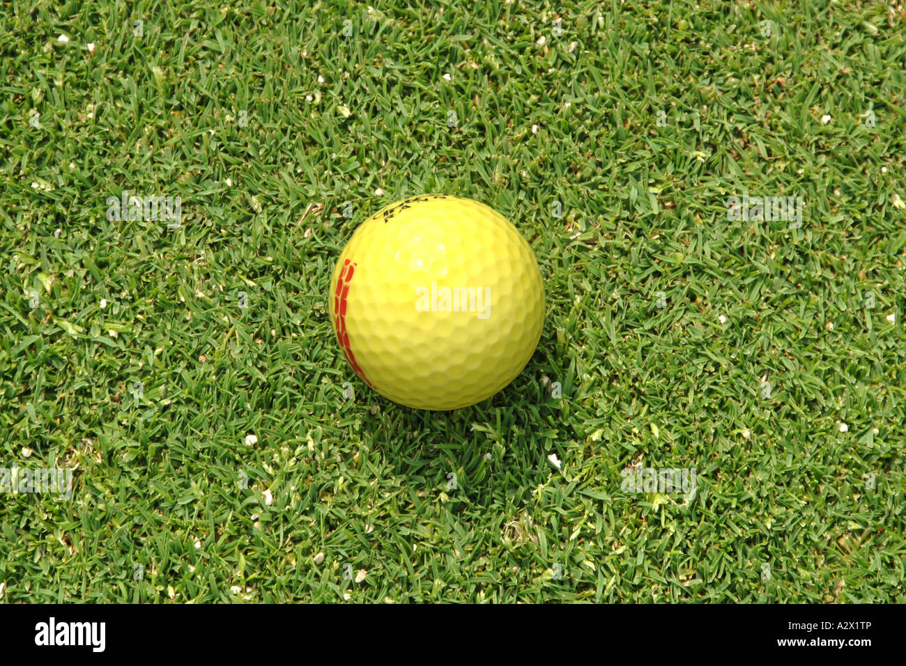 A single Yellow Golf ball Stock Photo - Alamy