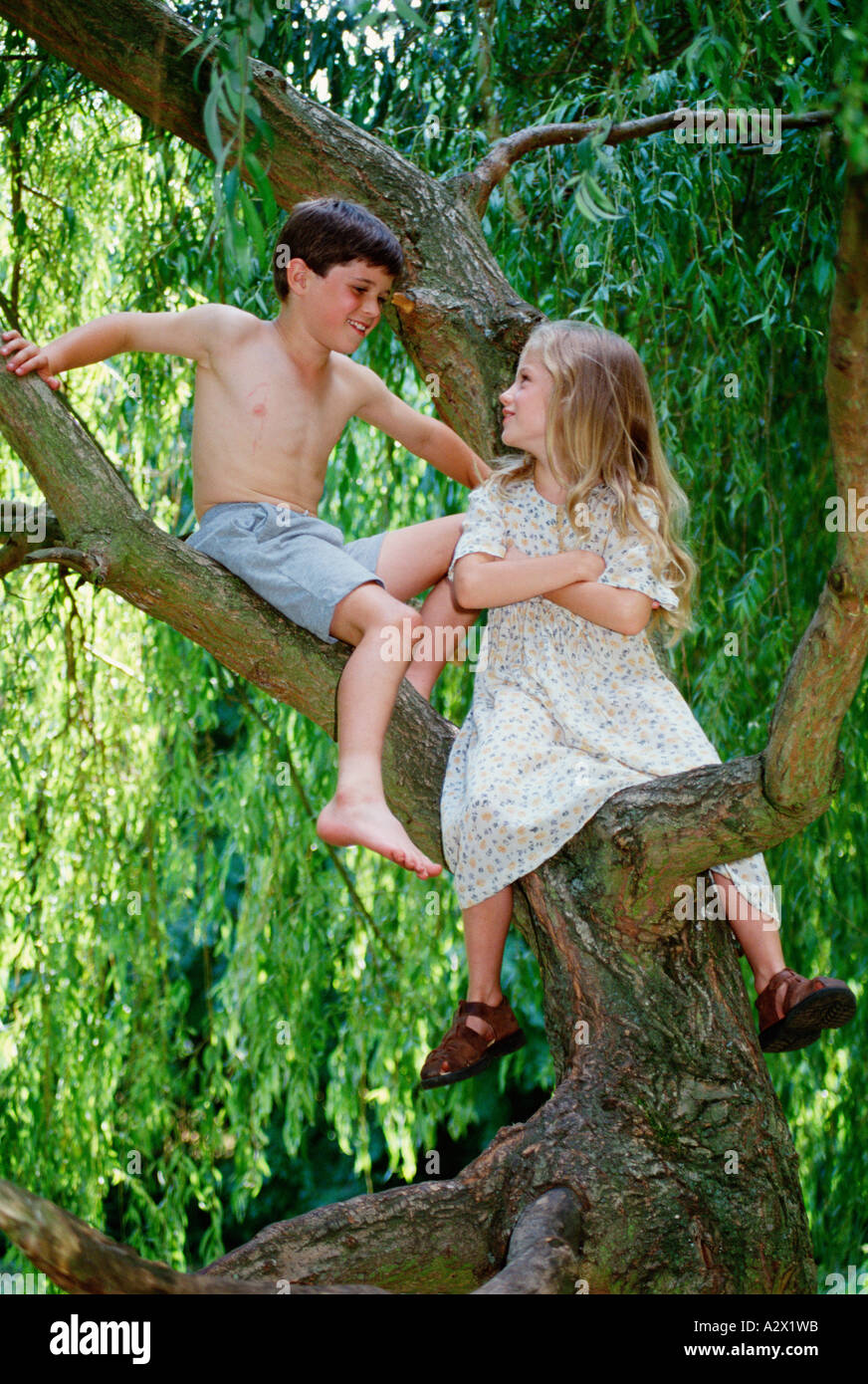 Children. Boy and girl playing outdoors in a tree Stock Photo - Alamy