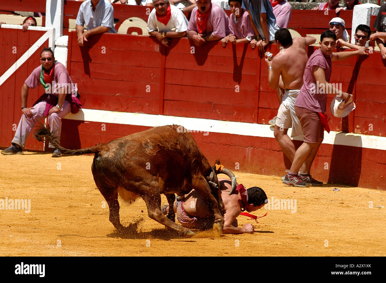 Batalla de Vino, Haro Wine Festival, Running with the Bulls, La Rioja ...