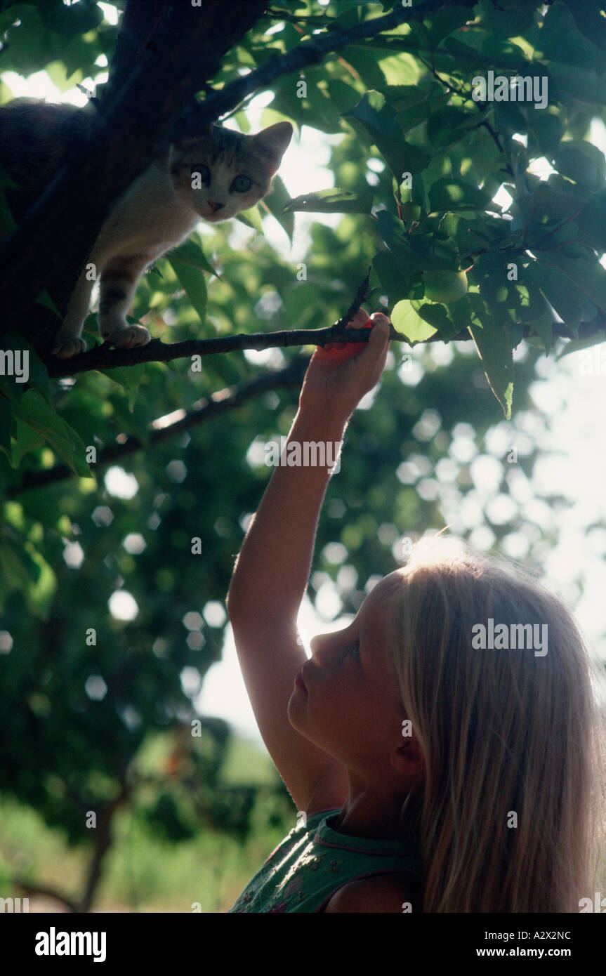 Child stuck up tree hi-res stock photography and images - Alamy