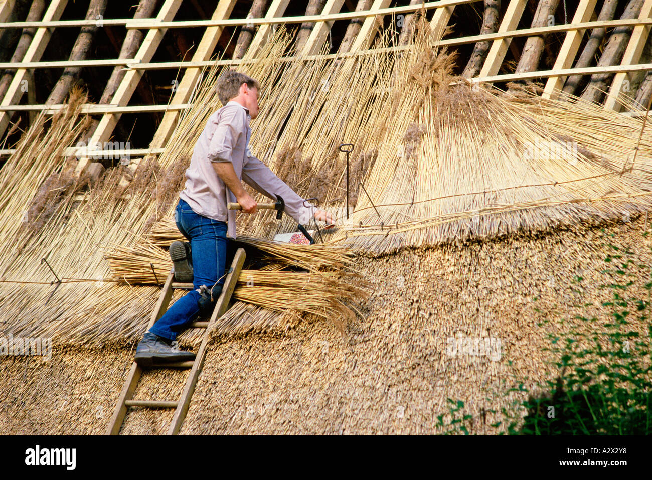 Thatcher hi-res stock photography and images - Alamy