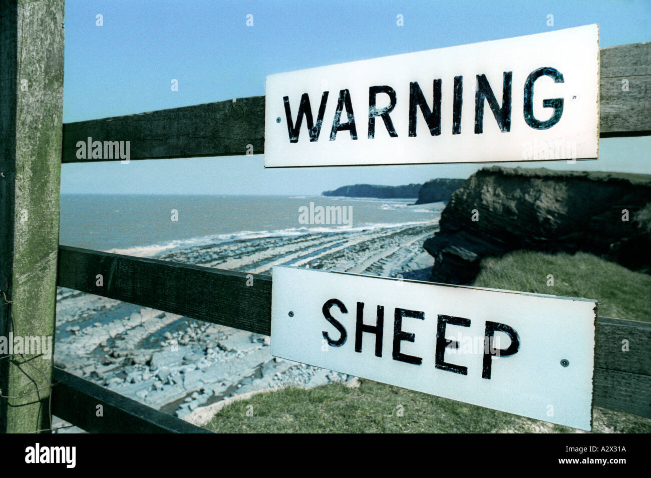 Warn the sheep hi-res stock photography and images - Alamy
