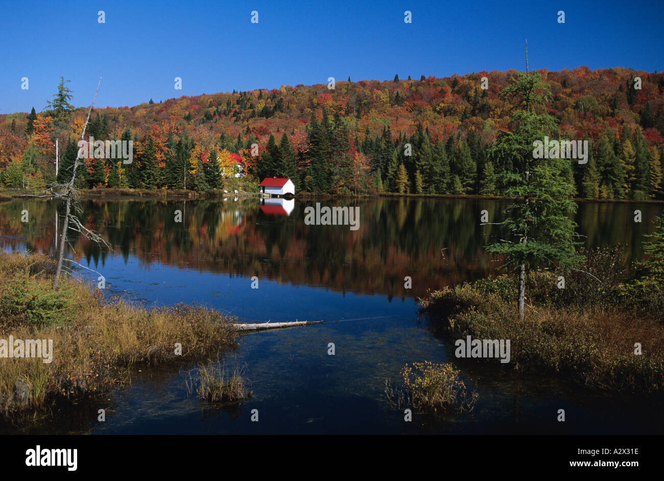 Saint Gabriel De Valcartier High Resolution Stock Photography and ...