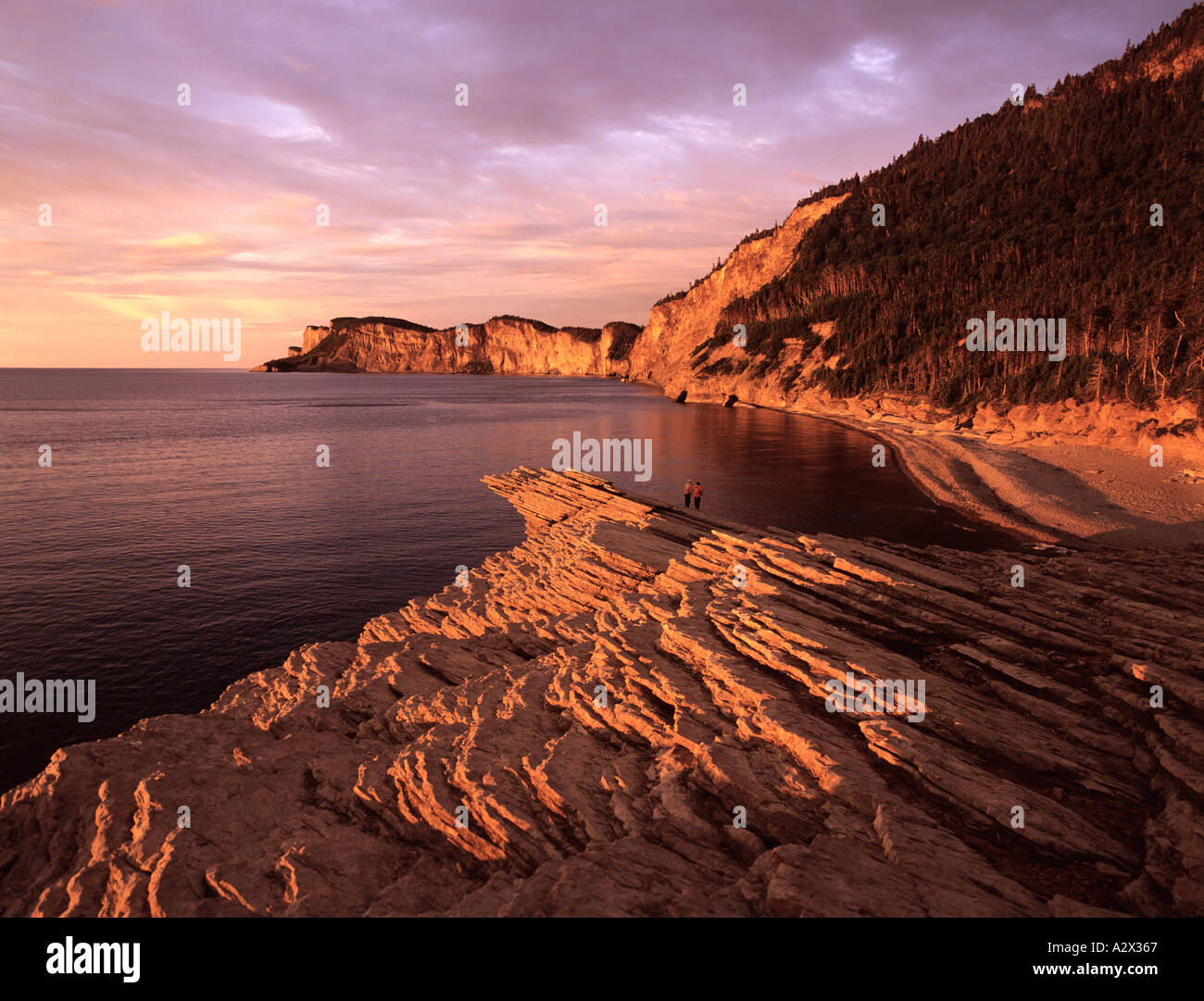 Cap Bon Ami Parc Forillon Gaspésie Stock Photo - Alamy