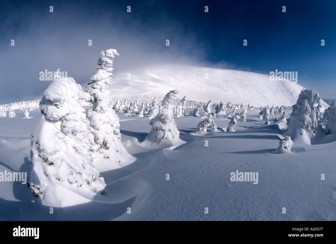 Parc De La Gaspesie in winter Gaspésie Stock Photo - Alamy