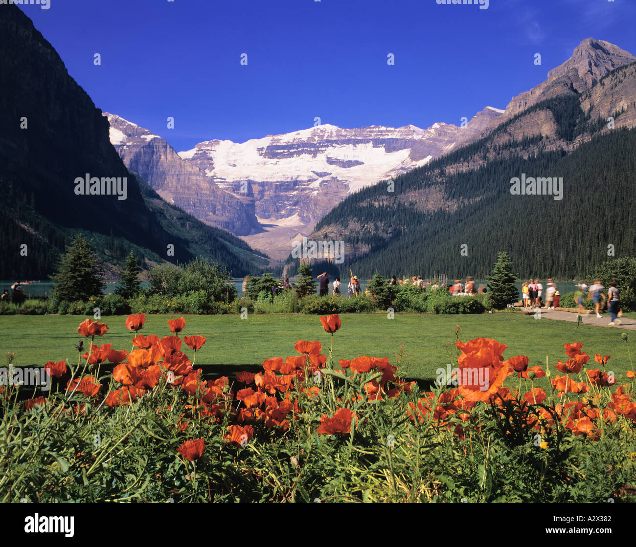 Lake Louise Victoria Glacier Banff National Park Alberta Canada Stock ...