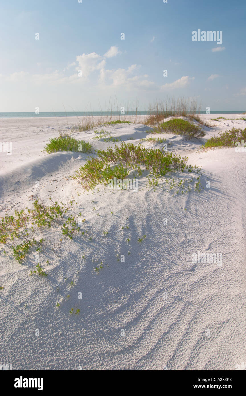 NORTH LIDO BEACH ON LIDO KEY SARASOTA FLORIDA Stock Photo - Alamy