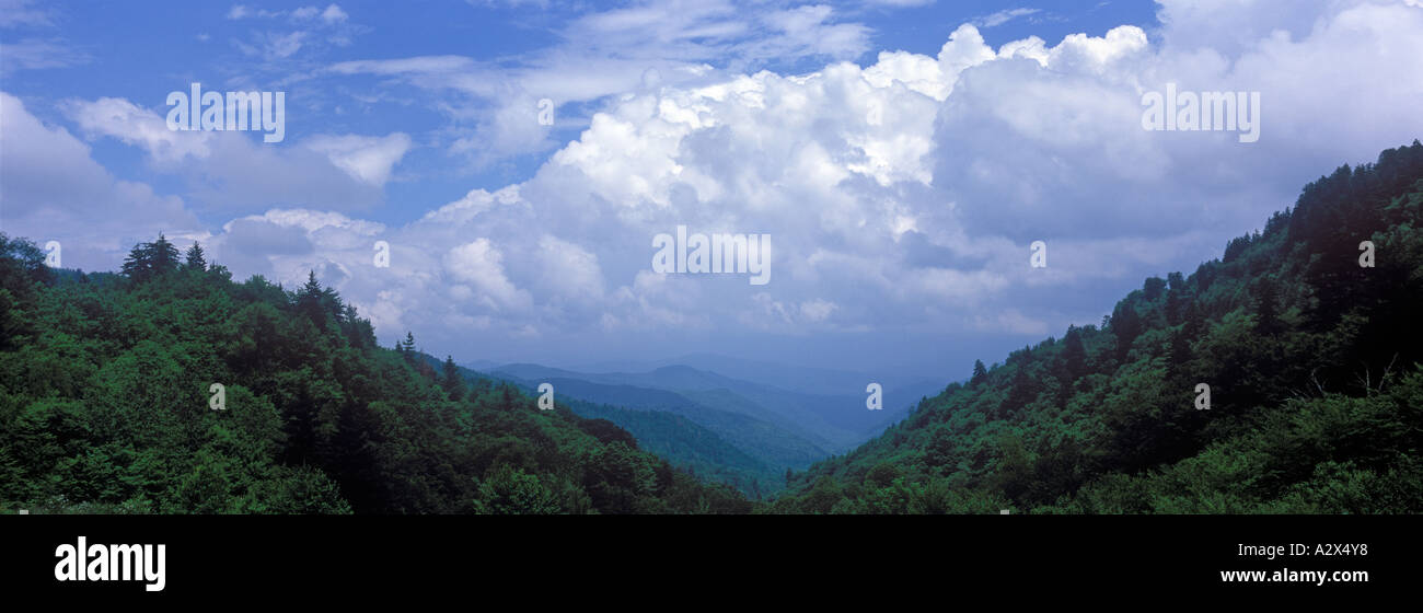 Great Smoky Mountains National Park from Newfound Gap Road Stock Photo ...
