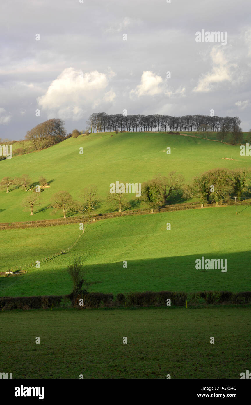 Tog Hill, South Gloucestershire, UK Stock Photo - Alamy