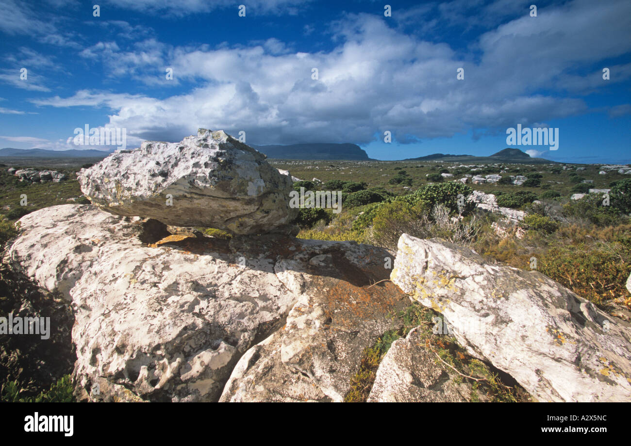 Cape Nature Reserve South Africa Stock Photo - Alamy