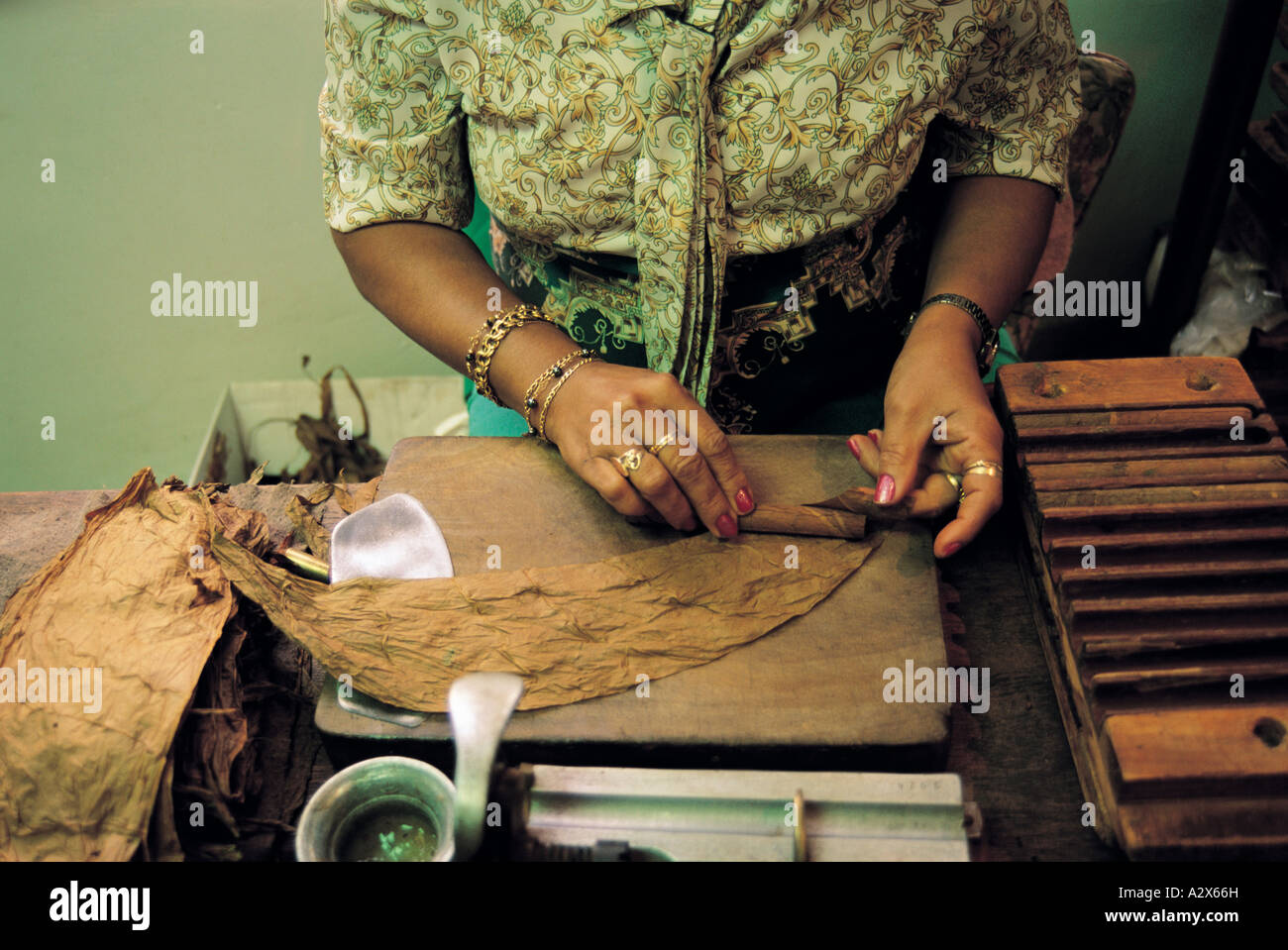 Cigar making in hand rolled cigar factory, Real Fabrica de Tabacos ...