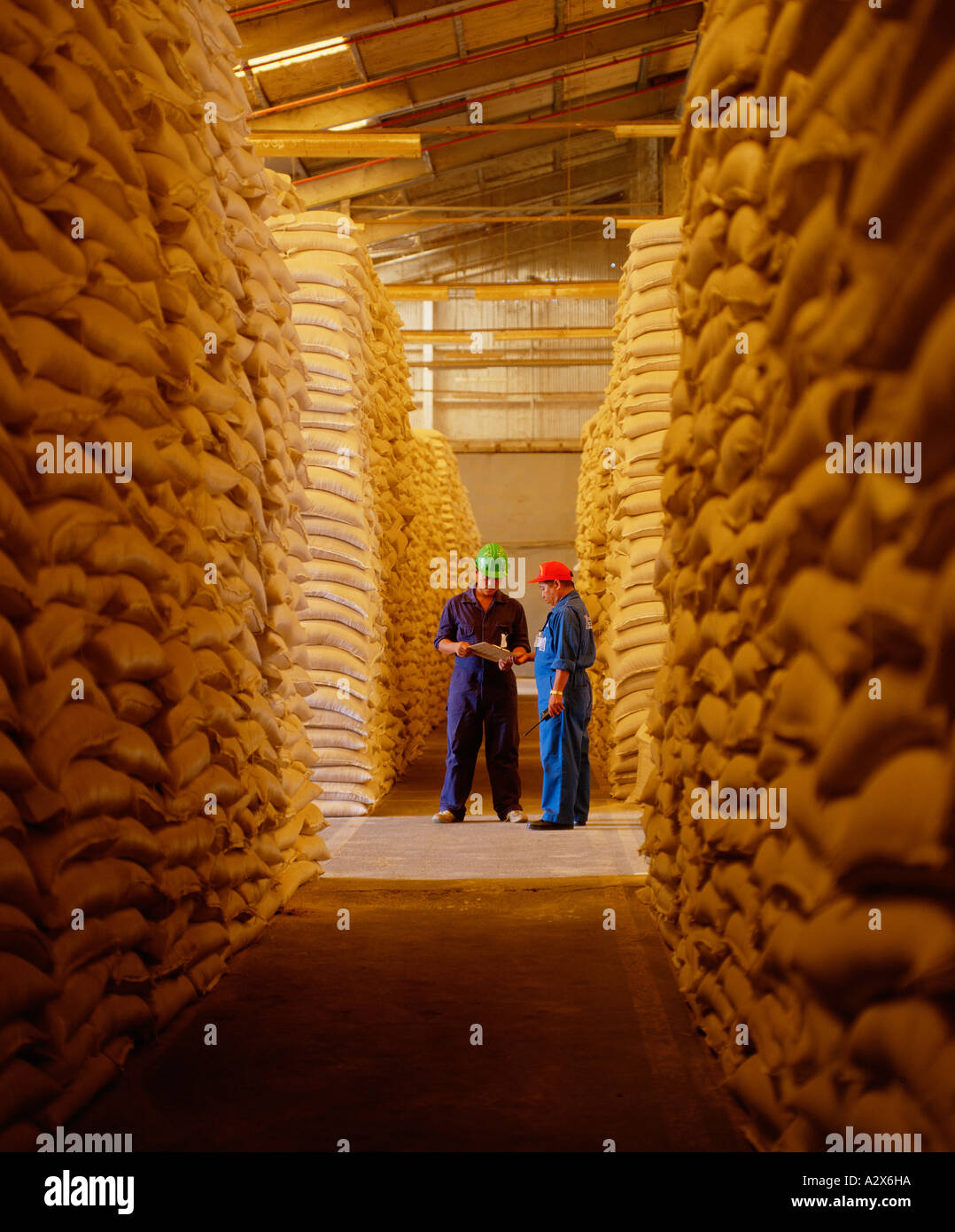 Two men inside industrial warehouse grain store Stock Photo - Alamy