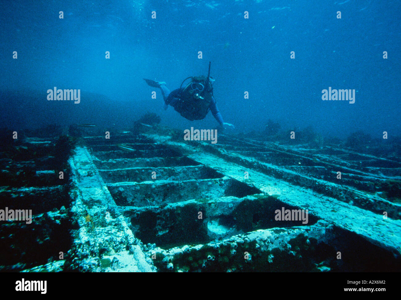 Ss new australia hi-res stock photography and images - Alamy