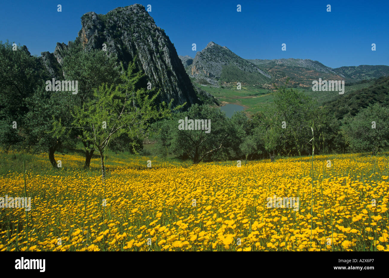 The park nature reserve hi-res stock photography and images - Alamy