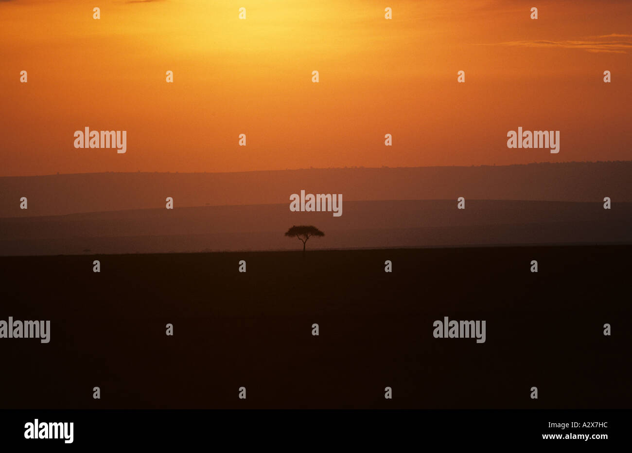 Masi Mara National Park Kenya East Africa Stock Photo - Alamy