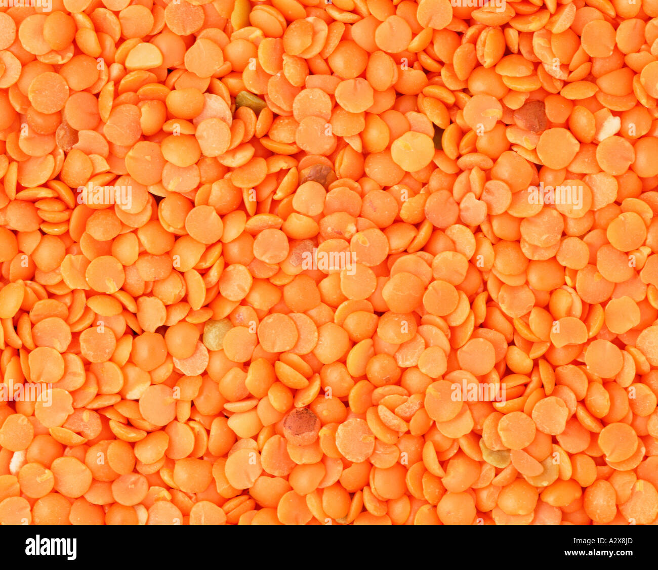 Masoor dal lentil pulse hi-res stock photography and images - Alamy