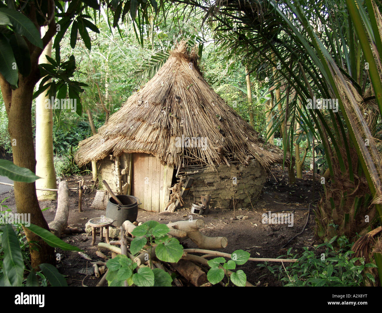 Malaysian Hut in a jungle clearing Stock Photo - Alamy