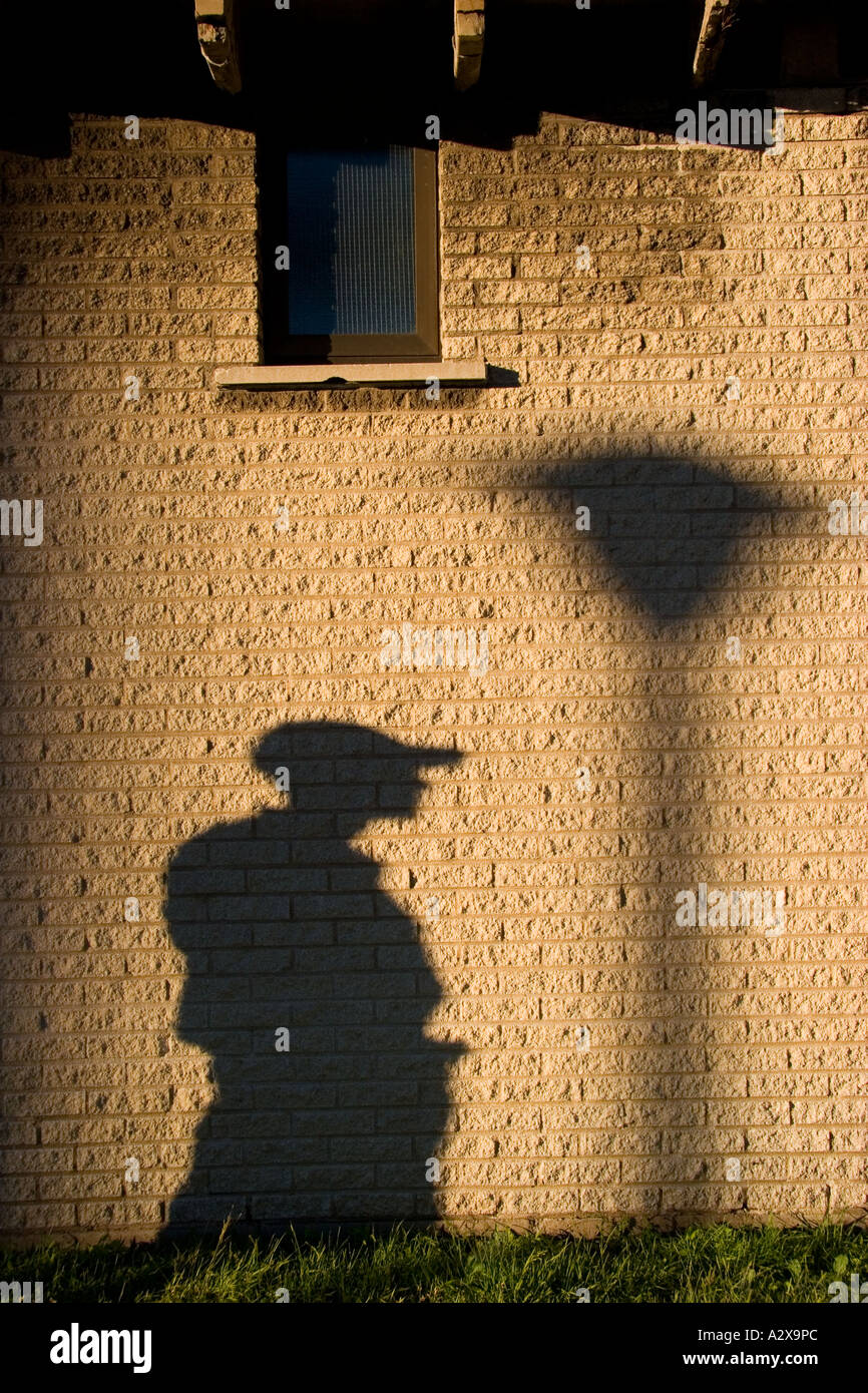 Shadows on a brick wall Stock Photo - Alamy