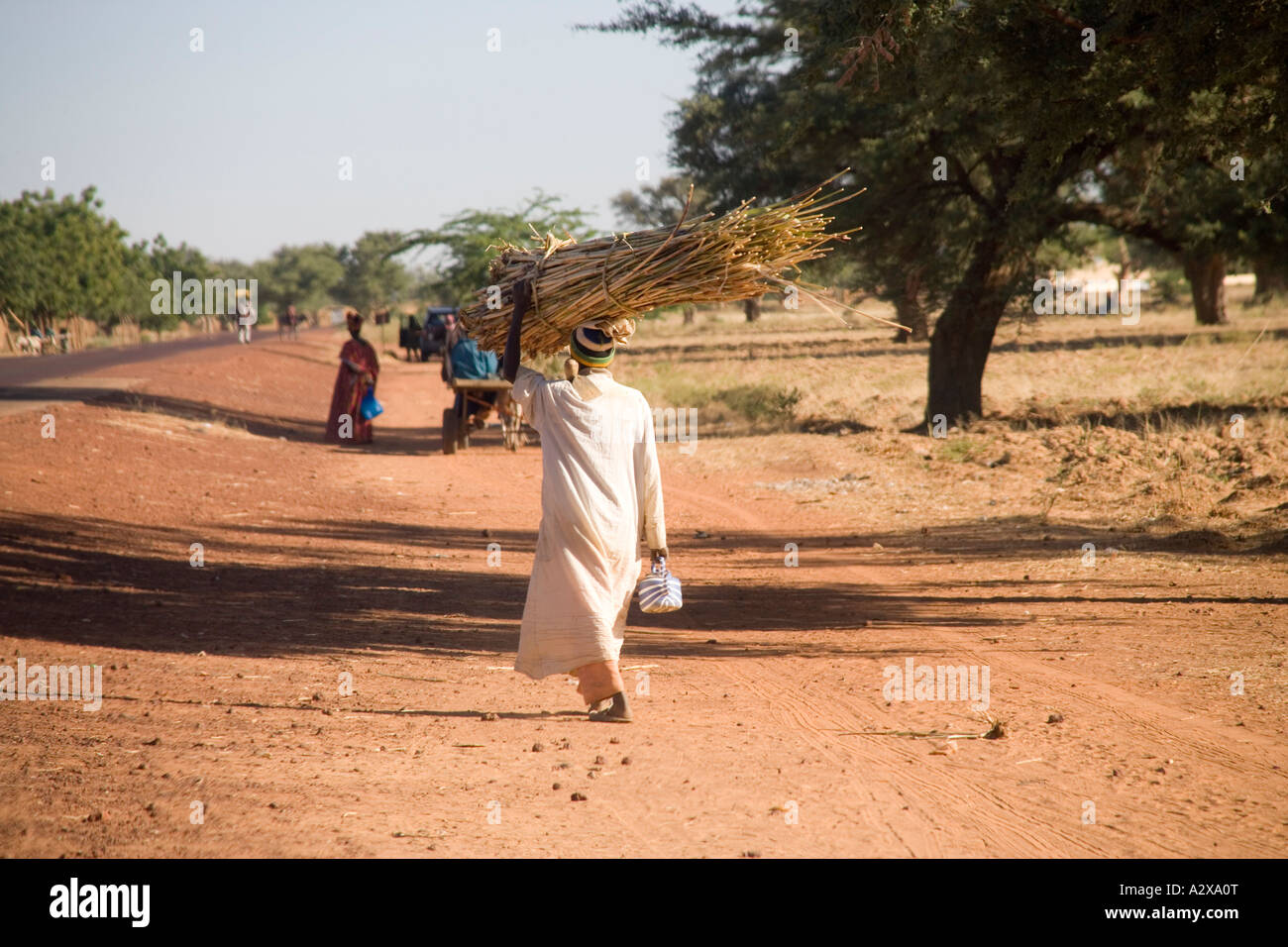 Man carrying straw in the Niger inland delta near Mopti ,Mali, West ...