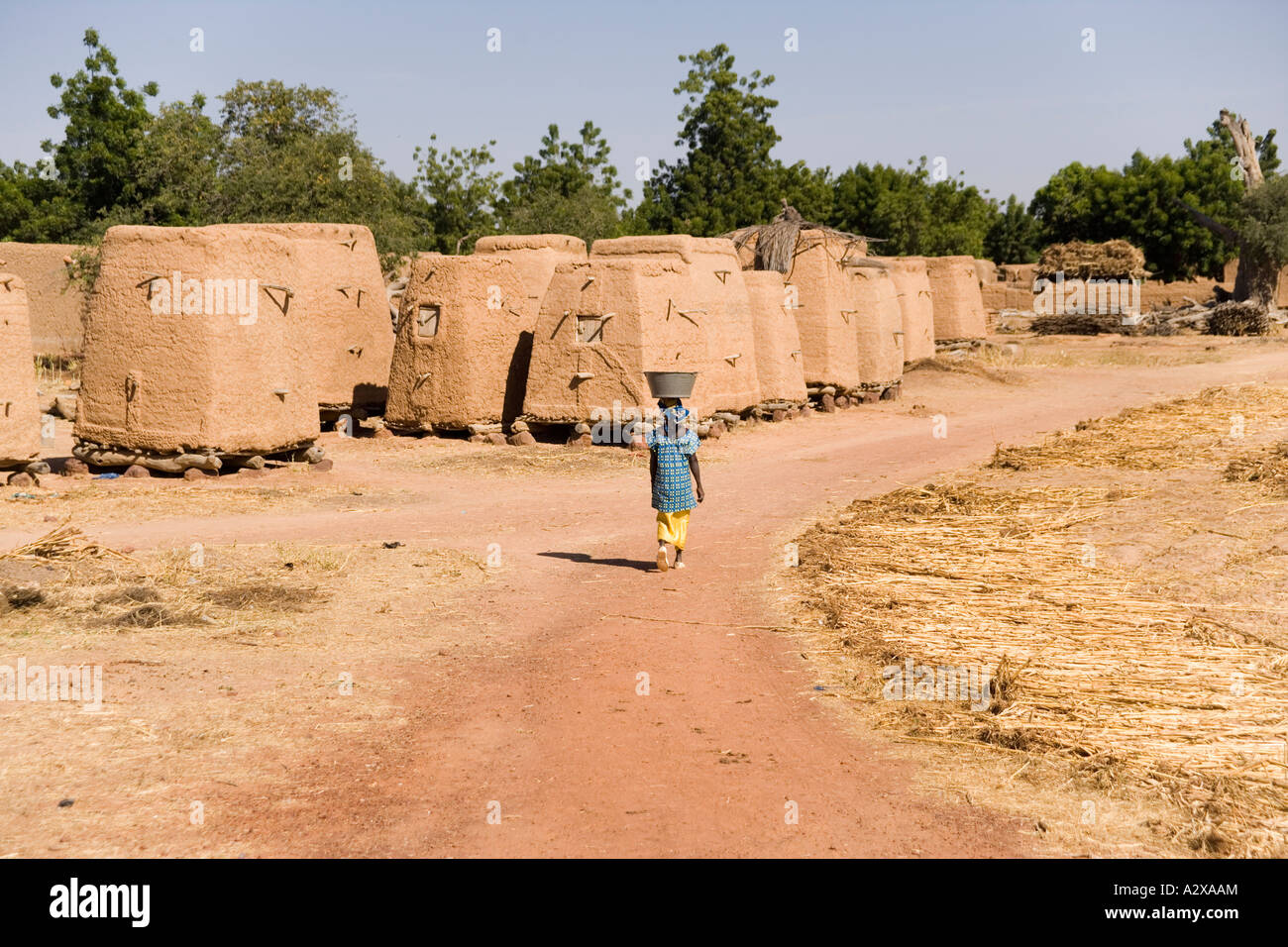 Adobe granaries in a small village in the Niger inland delta near Mopti ...