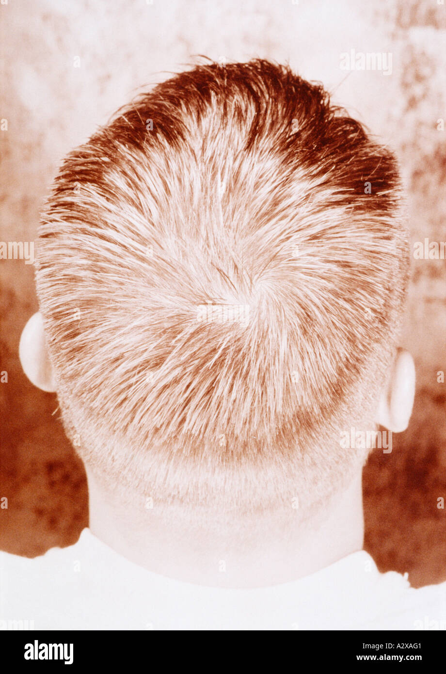 Back black mans head hi-res stock photography and images - Alamy