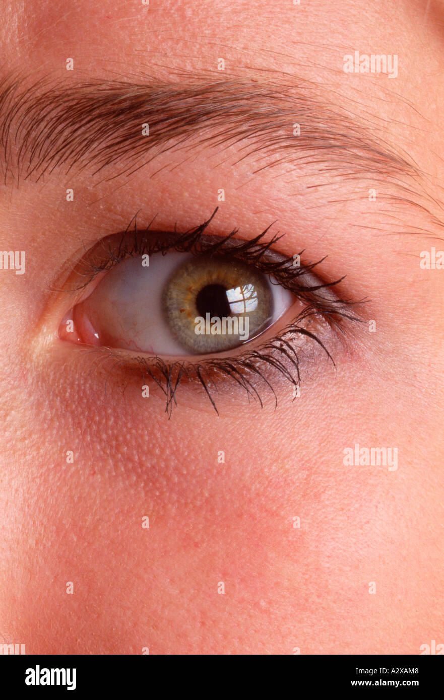 Close up woman face one hi-res stock photography and images - Alamy