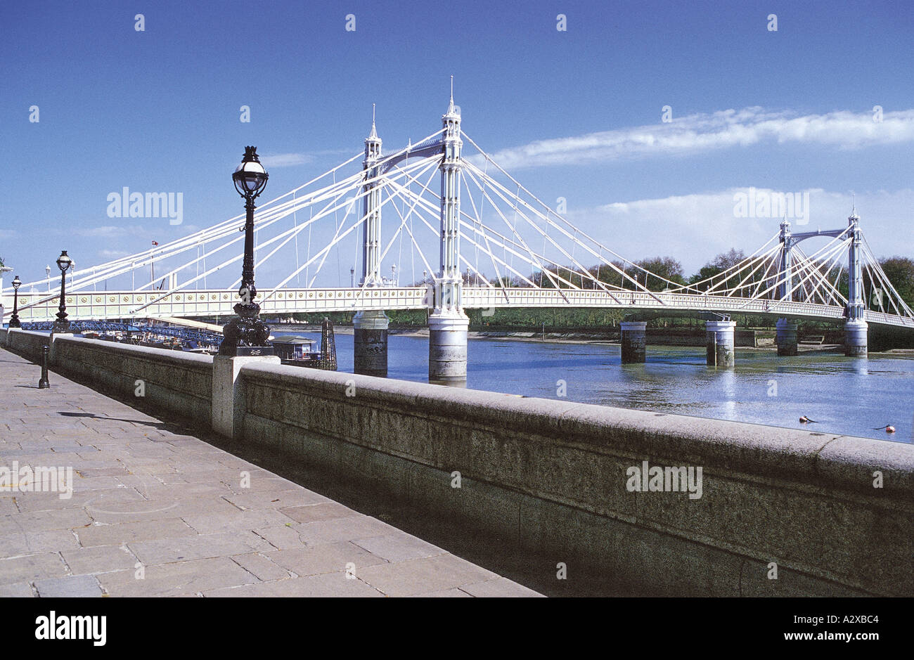 The Albert Bridge over the Thames London Stock Photo - Alamy