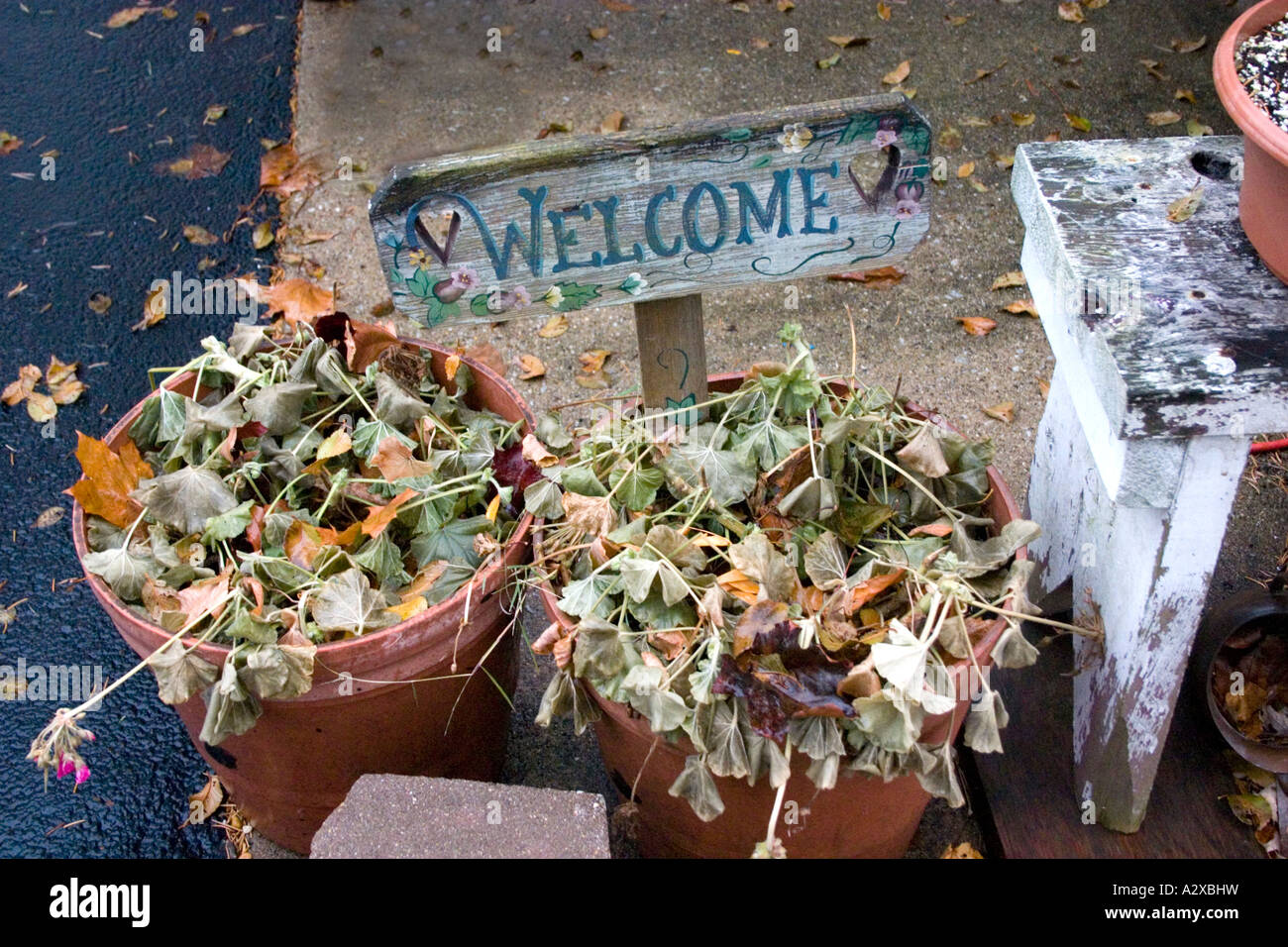 Frost garden pots hi-res stock photography and images - Alamy