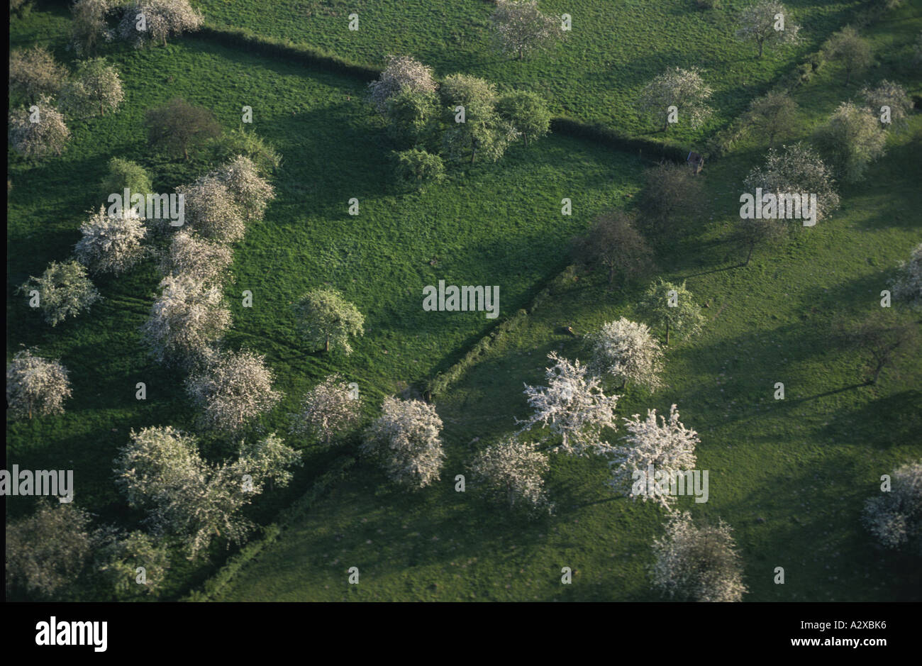 Bocage Country High Resolution Stock Photography and Images - Alamy