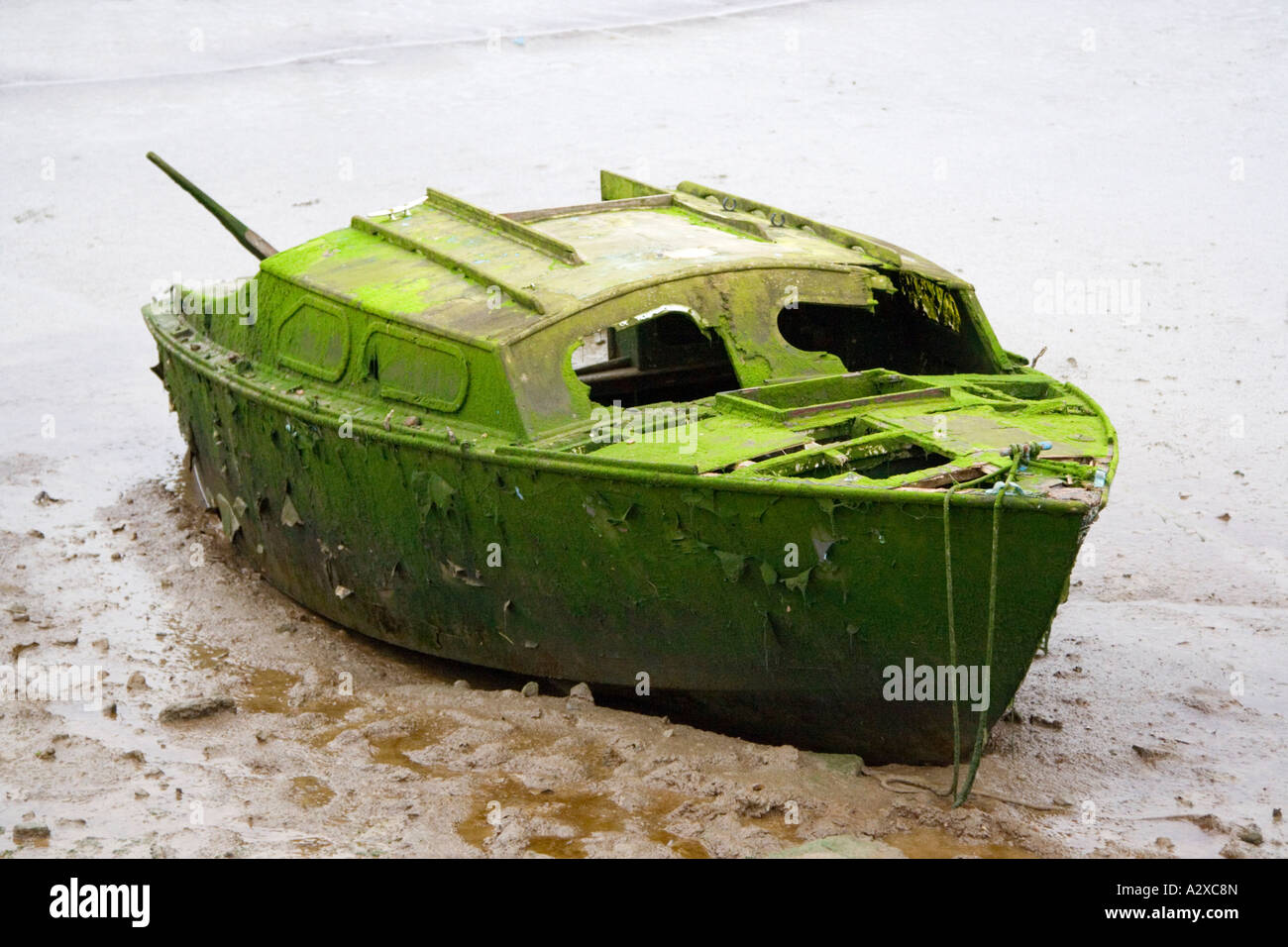 Algae covered boat. Stuck in the mud. Visible at low tide. River ...
