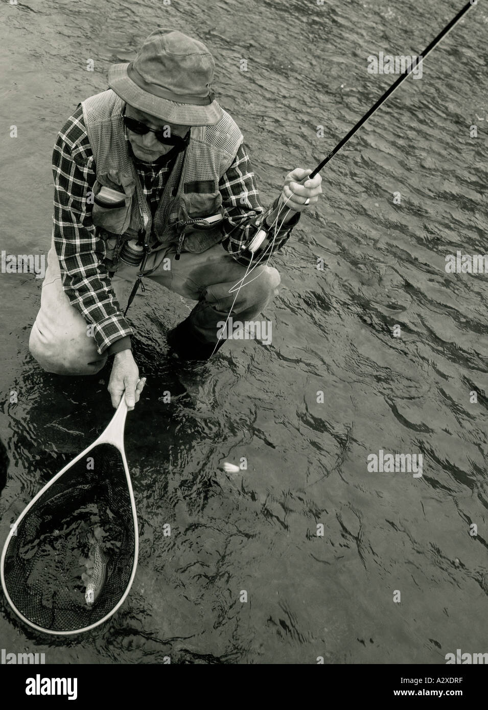 Black angler hi-res stock photography and images - Alamy