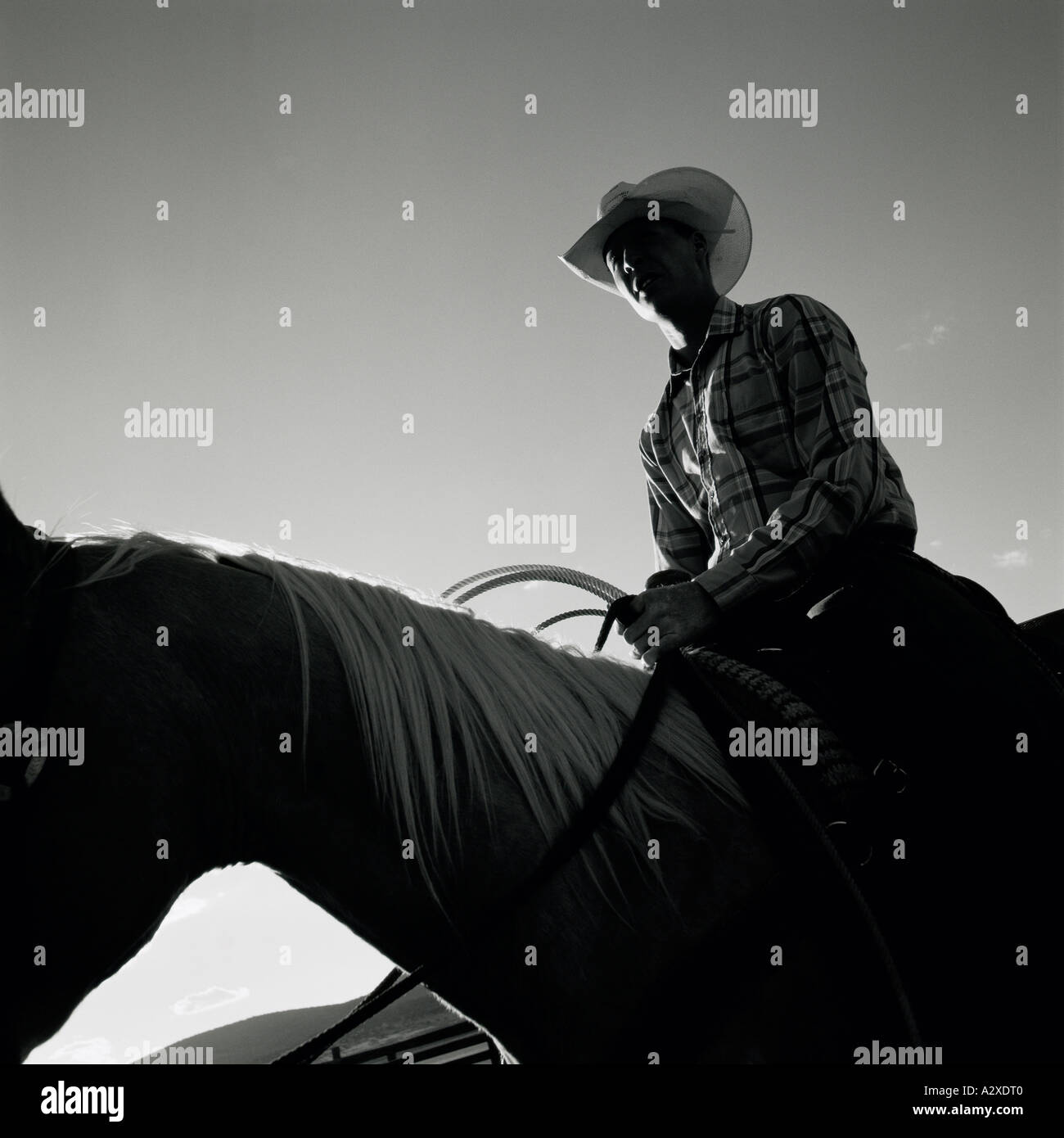 Stockman on horse hi-res stock photography and images - Alamy