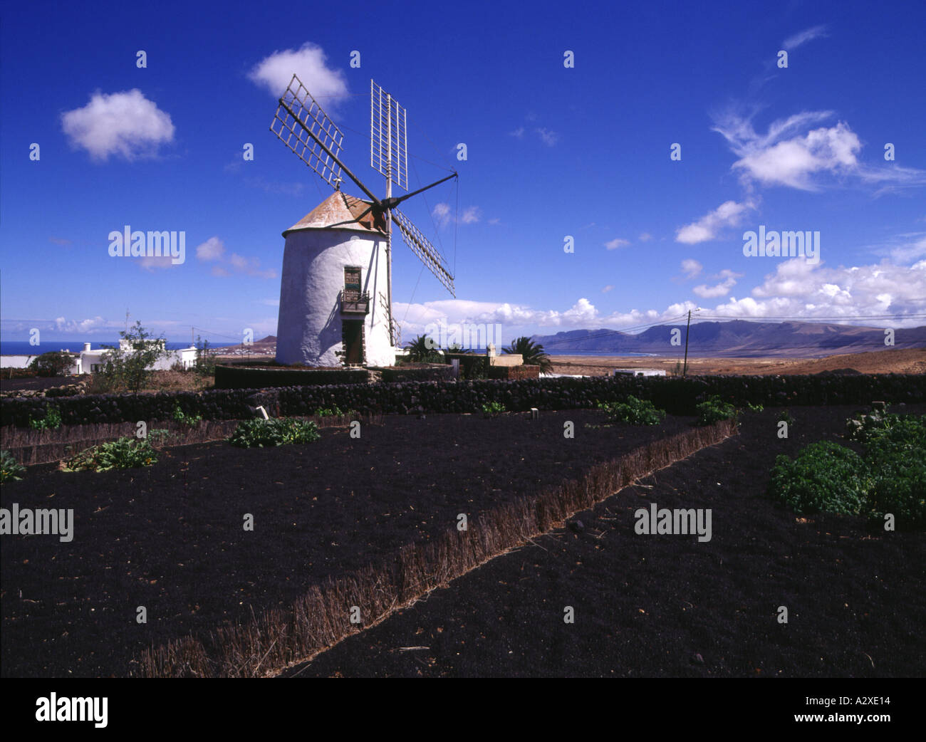 dh TIAGUA LANZAROTE Field of crops and white wash walled windmill Stock ...