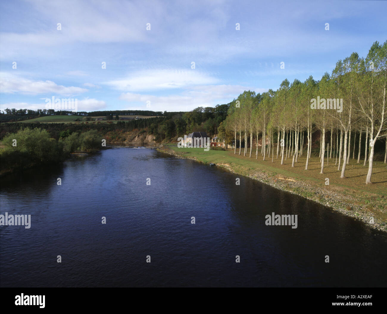 dh RIVER TWEED BORDERS Anglers fishing from boat near river bank houses ...